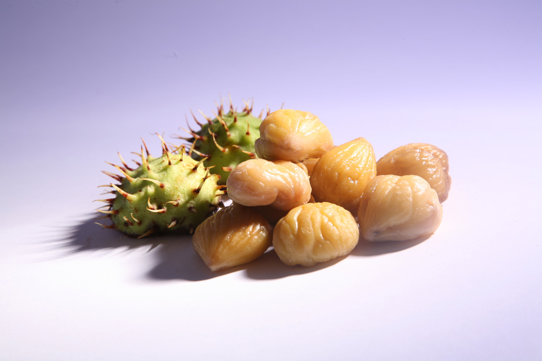 Marrons entiers - Eurosourcing